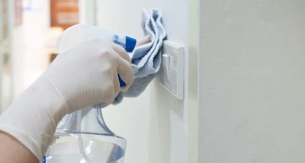 How to Clean Light Switches and Electrical Outlet Covers – Nordland ...